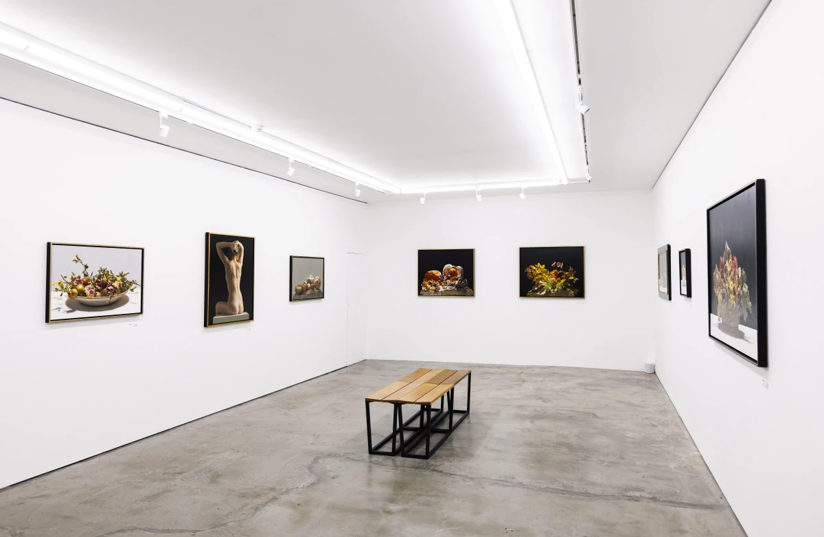 Pontone Gallery - Fitzrovia Quarter
